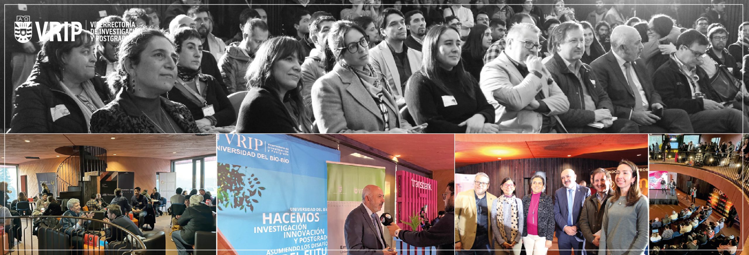 VRIP – Vicerrectoría de Investigación y Postgrado