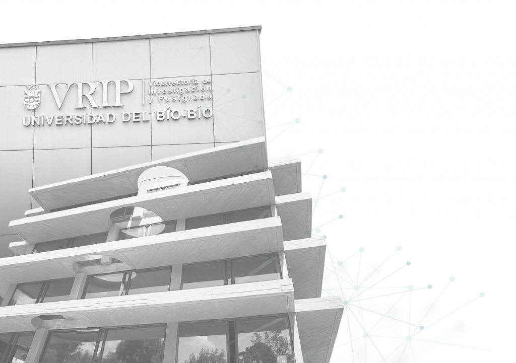 Misión y Visión – VRIP